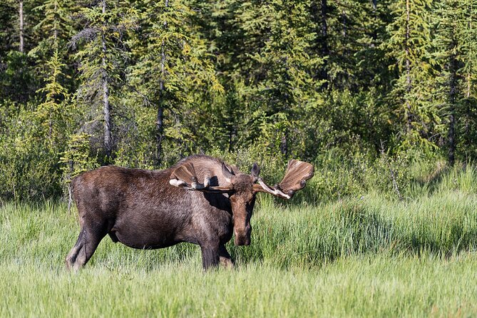 Denali Photo Excursion - Professional Photography Guidance