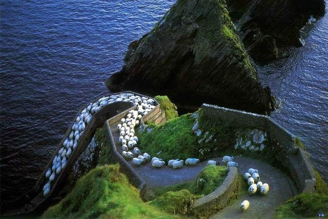 Dingle Peninsula Four Hour Private Tour - Exploring Historic Sites