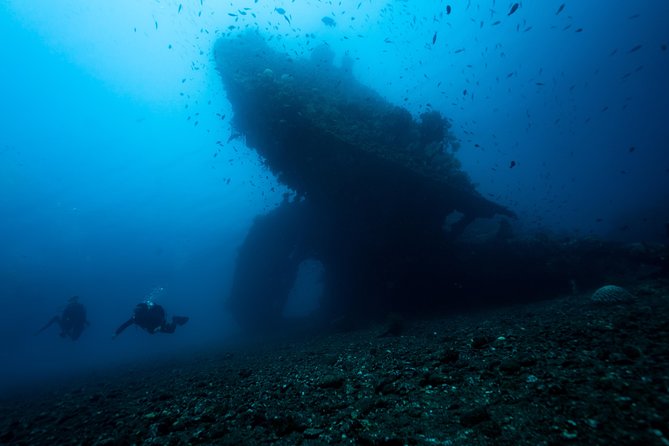 Discover Scuba Diving in Tulamben - Diving Initiation in Bali best diving sites - Why This Tour Works