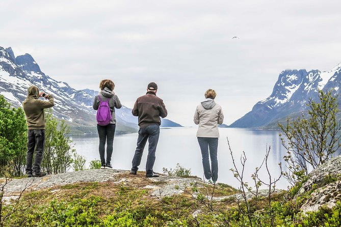 Discover the Fjords of Kvaloya - a Roadtrip Along Fjords and Fishing Villages - Spotting Wildlife on the Island