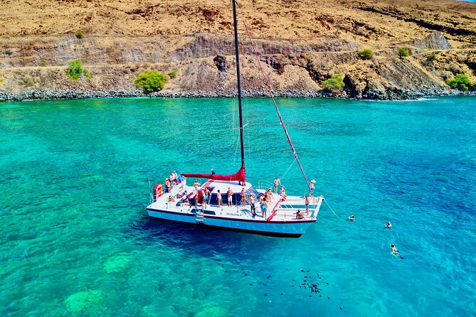 Discover the Magic of Coral Garden's Turtle Town - Maalaea Harbor - Encounter Marine Life in Their Natural Habitat