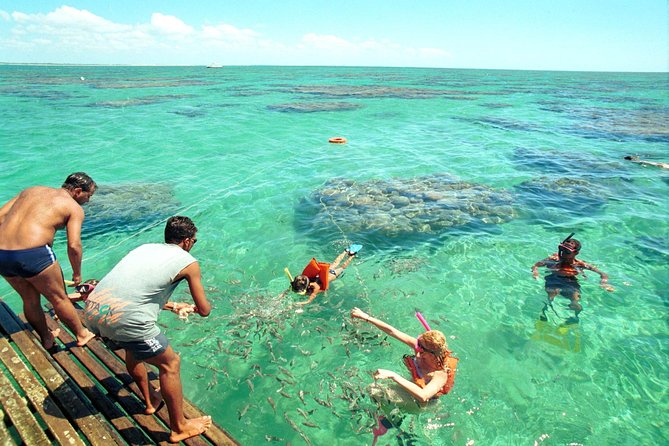 Discover Underwater Beauty: Explore Maracajaús Parrachos Reef - Exploring the Parrachos Reef: Snorkeling and Diving Adventures