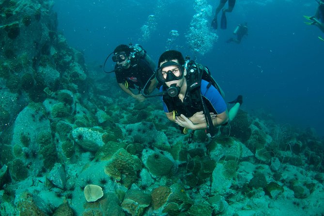 Diving at Koh Chang, daytrip with 2 dives - A Day in the Water: What to Expect