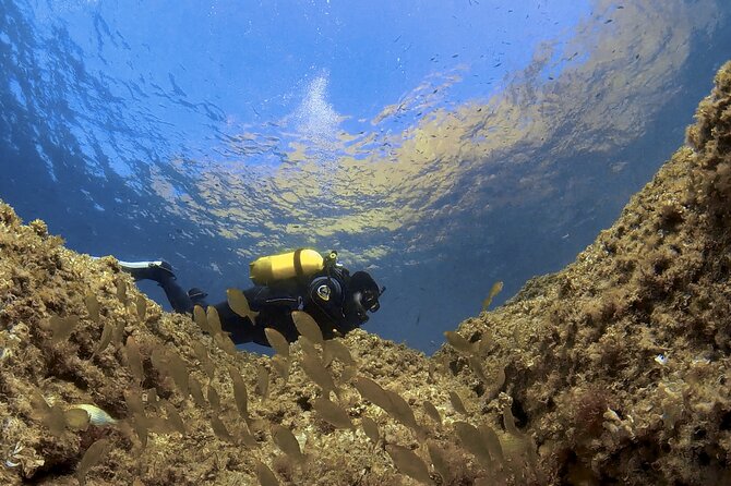 Diving Baptism in the Marine Reserve of Cabo Tiñoso - Reviews and Recommendations