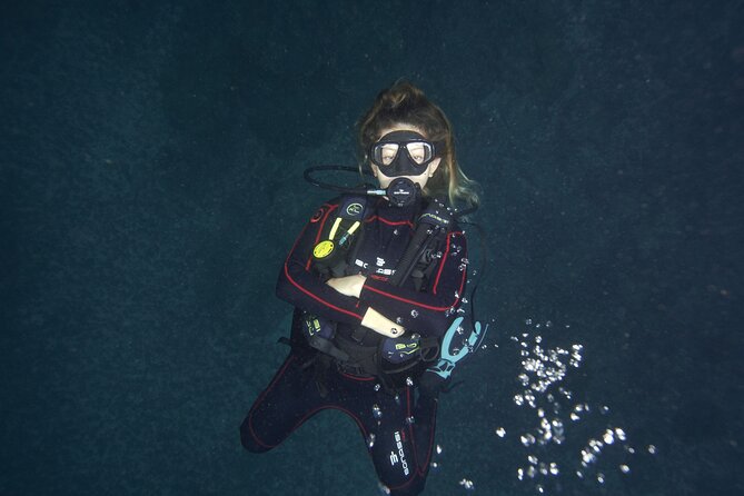 Diving Tour in Isla Del Caño for Certified Divers - Marine Life Encounters