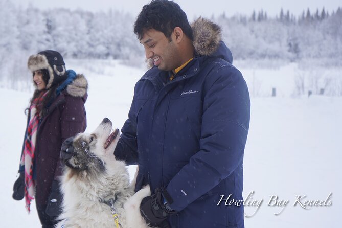 Dog Sled Adventure - Private Excursion From Fairbanks