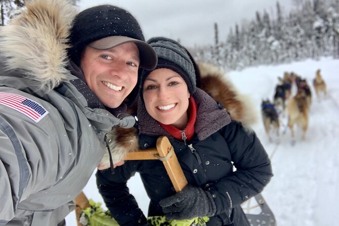 Dog Sledding Adventure in Willow, Alaska - Who Will Love This Tour?