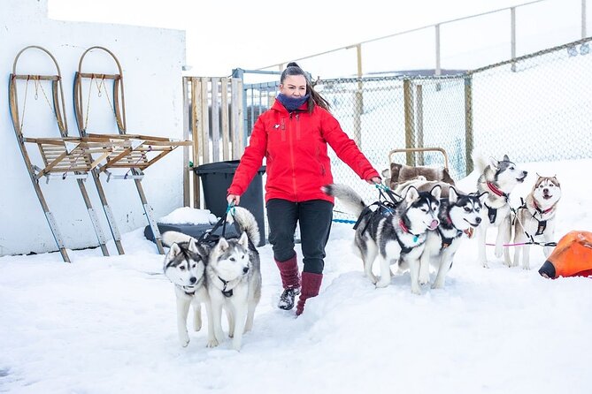 Dogsledding, Near Akureyri - Tour Details and Itinerary