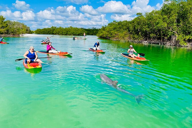 Dolphin and Manatee Adventure Tour of Fort Myers - Final Thoughts