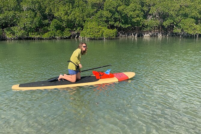 Dolphin and Manatee Adventure Tour of Naples with Florida History - FAQs