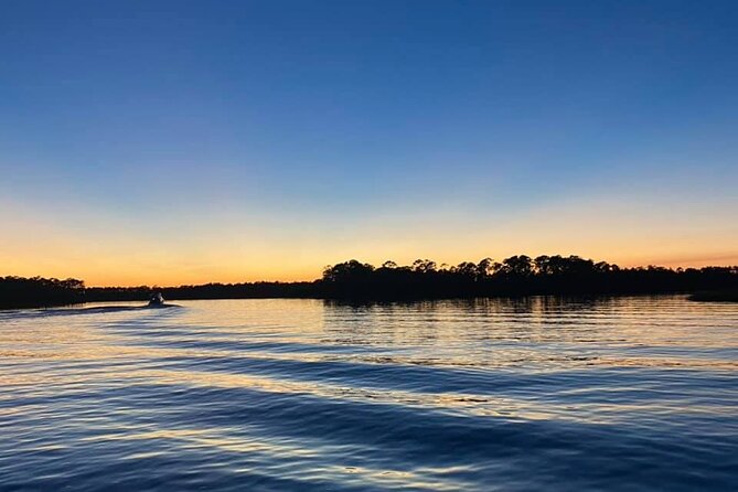 Dolphin and Nature Sunset Cruise from Orange Beach - The Value: Is It Worth the Price?