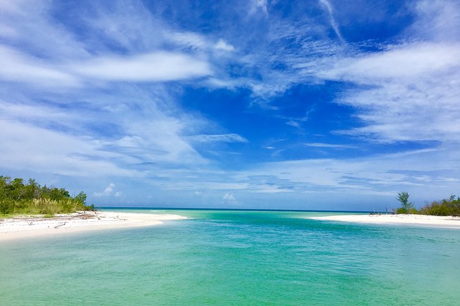 Dolphin and Shelling Cruise for up to 12 people - Who Will Love This Tour?