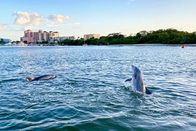 Dolphin Tiki Cruise Around Fort Myers Beach - Tour Details and Pricing