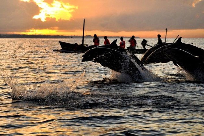 Dolphin Tour and Sunrise Watching in Lovina Beach - All Inclusive - The Sum Up