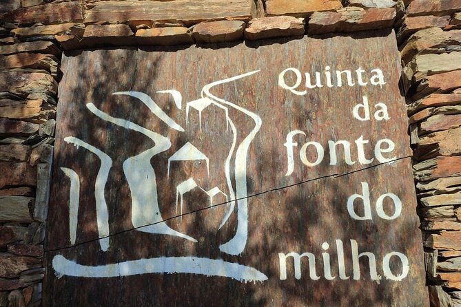 Douro Valley Amazing Wine Tours - Appreciation for Douro Ports, Wines, and Olive Oils