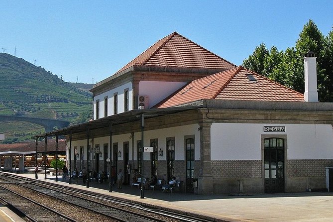 Douro Valley and Régua Cruise Review - Scenic Journey From Porto to Régua