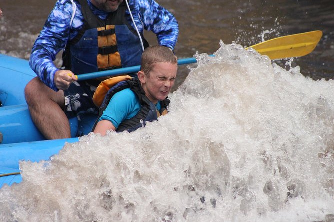 Durango Rafting - Quarter Day Family Friendly Trip - The Itinerary and Paddling Experience