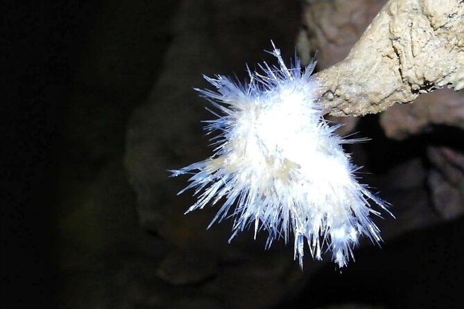 El Soplao Cave Visit With Entrance Ticket- Small Groups - Accessibility and Special Requirements