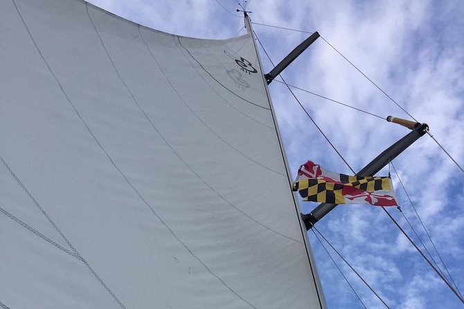 Enjoying A Beautiful Day With Mother Nature Cruises - What to Expect During the Cruise