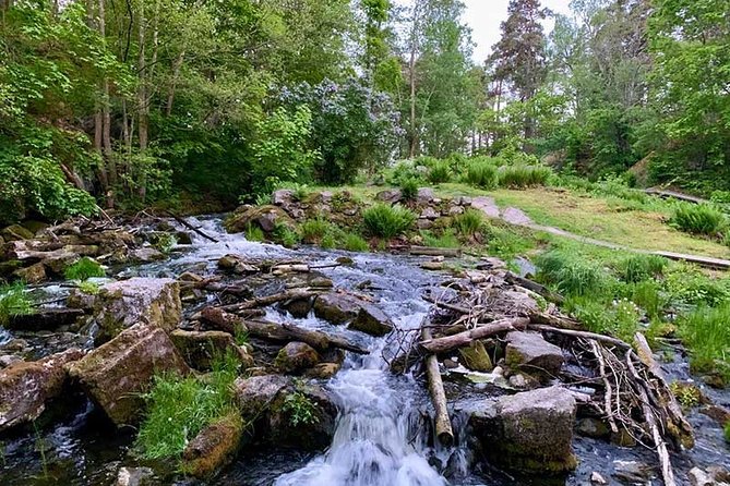 Evening Hike in Tyresta National Park - Health and Safety Considerations