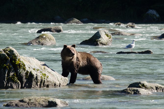 Exclusive Photography Tour to Haines - Skagway Departure - What to Expect on the Tour