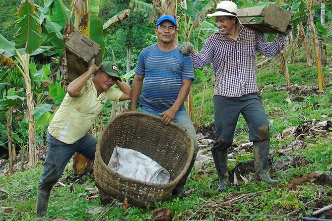 Explore the Coffee Process_From Tree to Cup & Fun by Jeep - Highlights of the Coffee Tour
