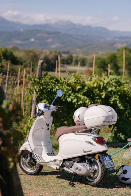 Explore the Rolling Hills of Lucca on a Vespa 125 Primavera - Discover Luccas Countryside