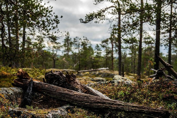 Explore the Wilderness (Summer & Autumn) - Mastering Wilderness Photography