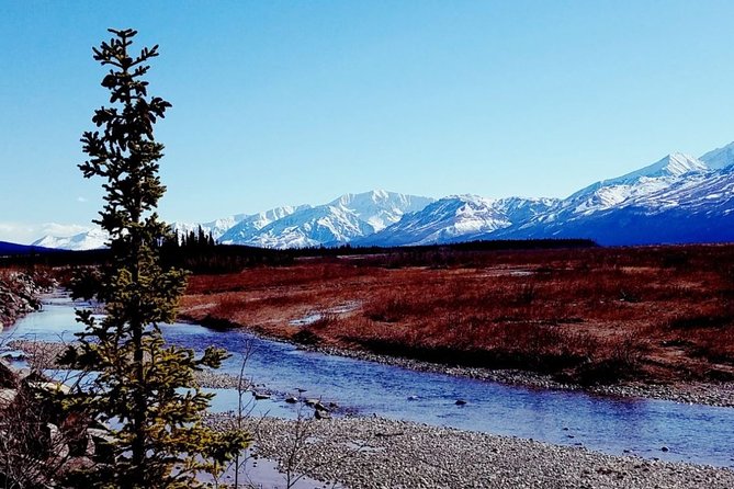 Fairbanks to Denali Shuttle Service - Practical Details and Considerations