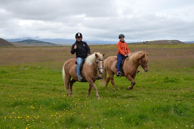 Family Friendly Horse Riding Tour in Skagafjörður - Whats Included in Your Experience
