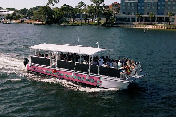 Family Friendly Snorkeling and Dolphin Tour - Authentic Perspectives from Visitors