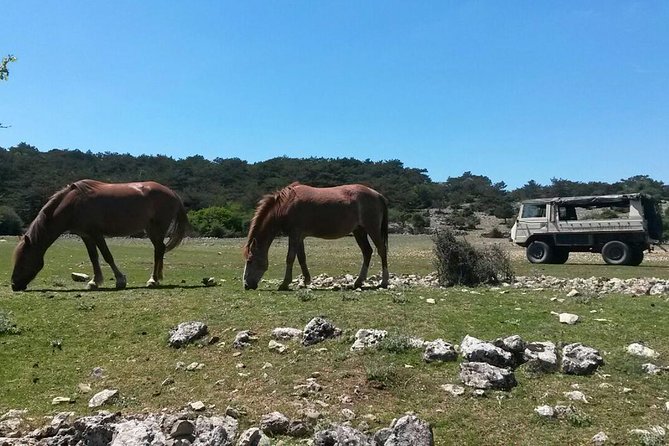 Feel and Taste Island Brac With Local Experts - Island Adventure to Remember - Pickup and Meeting Details