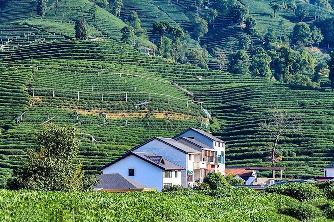 Flexible Hangzhou Private Tour from Shanghai by Bullet Train - Who Should Consider This Tour?
