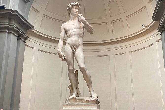 Florence: Ticket to See Michelangelos David - Visitor Impressions and Feedback