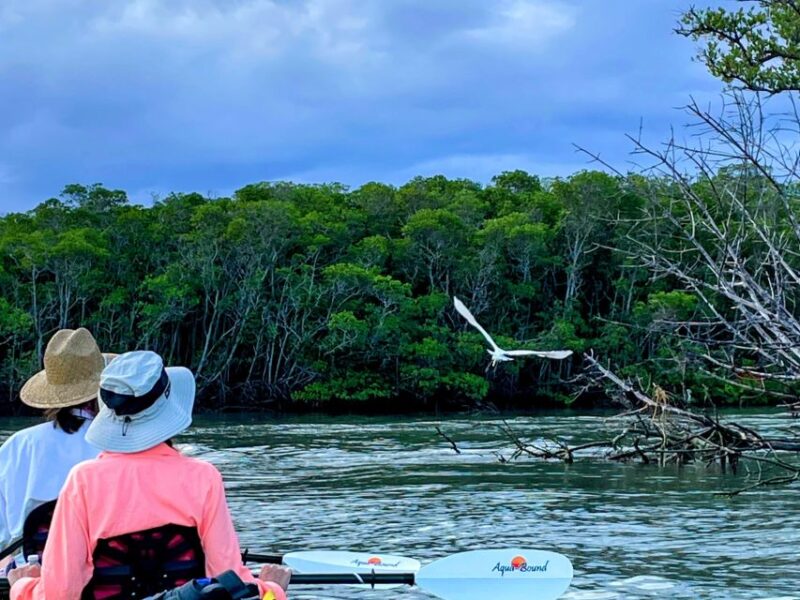 Fort Pierce: 8-hr Jungle and Lagoon passage to Ocean in FL - The Equipment and Logistics
