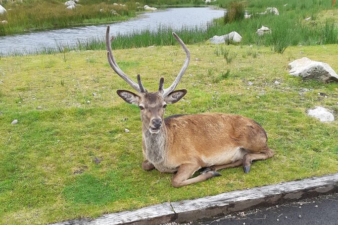 Fort William and Glencoe - Glencoes Captivating Landscape