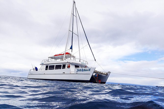 Four Winds Molokini Snorkeling Tour from Maalaea Harbor - The Onboard Experience: Amenities and Food