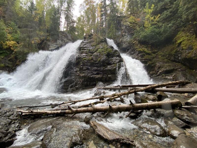 From Anchorage: Valley and Forest Hike with Naturalist Guide - What’s Included & What to Bring