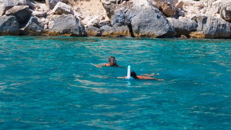 From Arbatax: RIB Tour in the Gulf of Orosei - Itinerary Highlights
