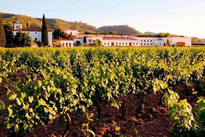 From Barcelona: Wine Cellar Visit in Penedes With Tasting - Getting There