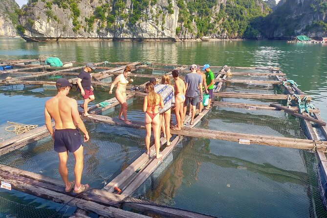 From Cat Ba island: full day boat tour to Lan Ha bay - Ha Long bay - Why This Tour Works Well for Travelers
