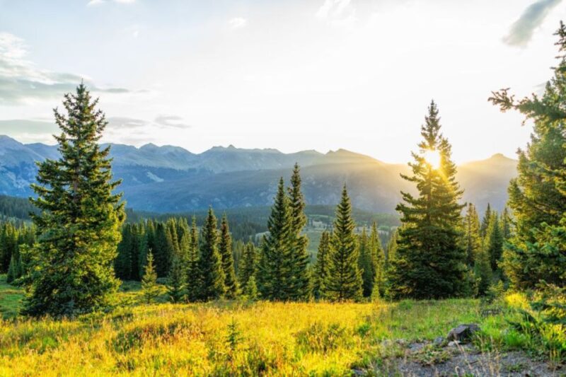 From Denver: Red Rocks and Foothills Half-Day Guided Tour - What’s Included and What’s Not
