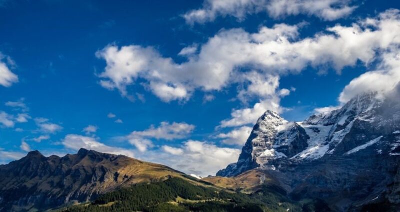 From Geneva: Paragliding and Interlaken Trip - Scenic Journey