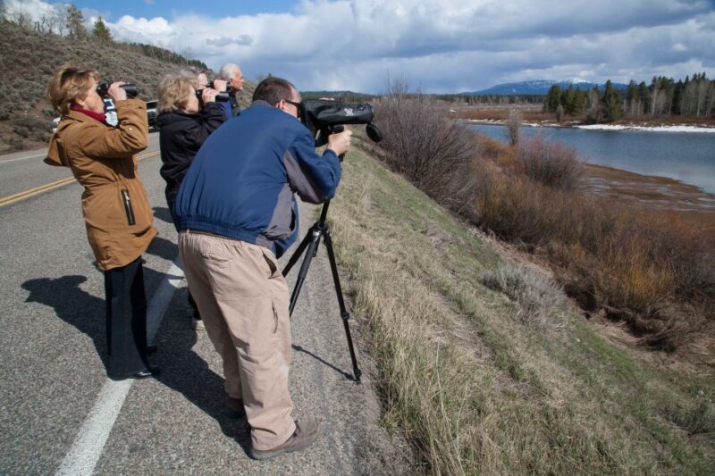 From Jackson Hole: Half-Day Grand Teton Wildlife Tour - The Role of the Guide and Customization