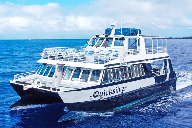 From Maalaea: Whale Watching Tour Aboard the Quicksilver - The Sum Up