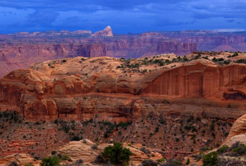 From Moab: 1-Day Horseshoe Canyon Exploration - In-Depth Look at the Experience