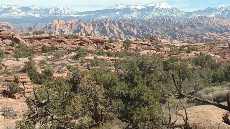 From Moab: Rock of Ages Moderate Rappelling Obstacle Course - Exploring the Itinerary in Detail