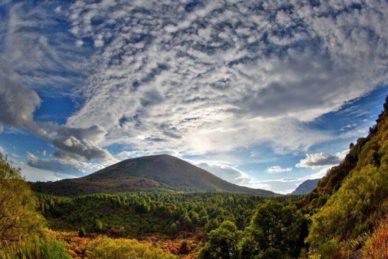From Naples: Pompeii and Vesuvius Full-Day Tour With Lunch - Itinerary Details