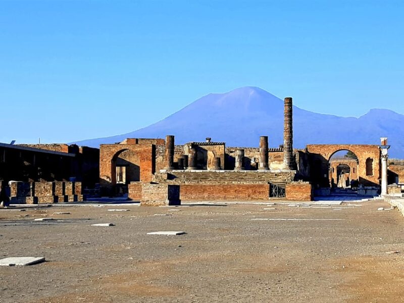From Naples: Pompeii and Vesuvius Tour With Ticket Options - Itinerary and Experience