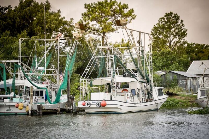 From New Orleans: Airboat Adventure Tour with Transportation - An Easy, Hassle-Free Introduction to Louisiana’s Wetlands
